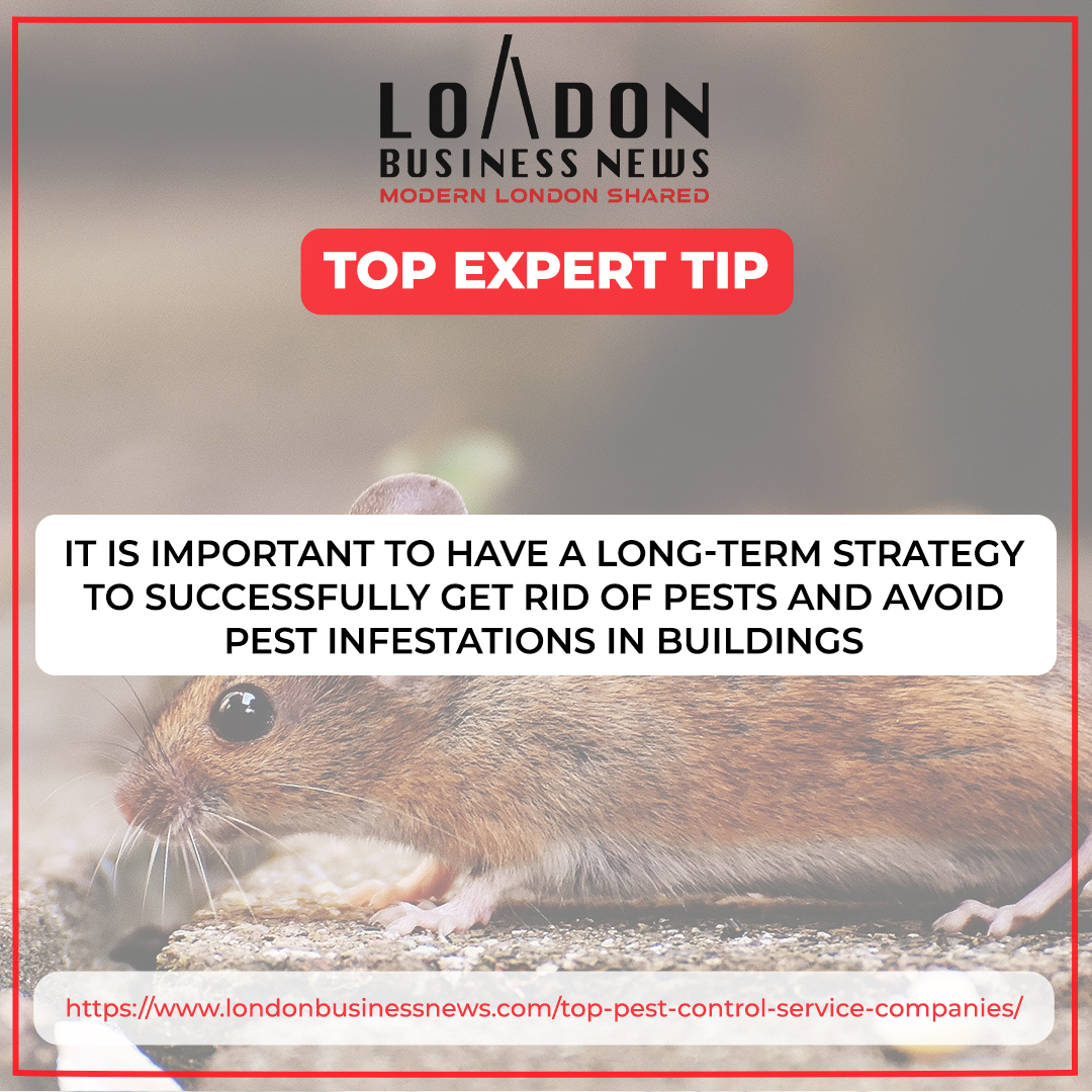 Top 14 Pest Control Service Companies in London